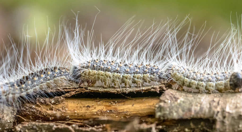 Killgerm Training - Killgerm Benelux