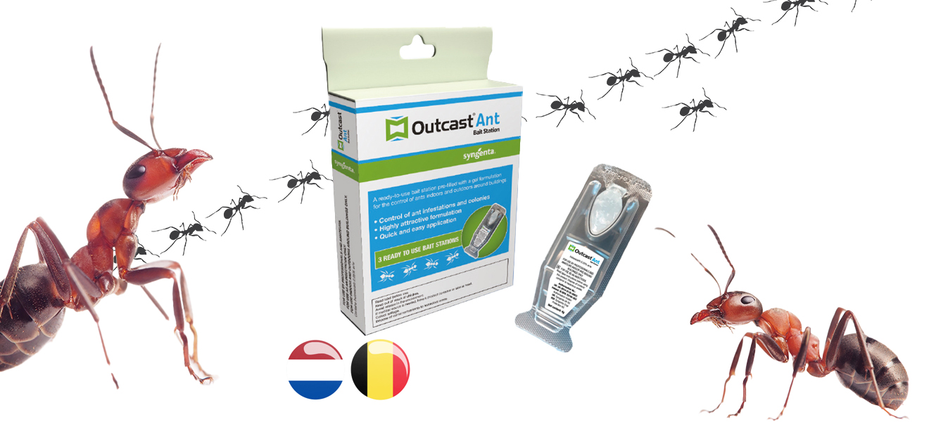 Product in de kijker: Outcast® Mierenlokdoosjes - Killgerm Benelux